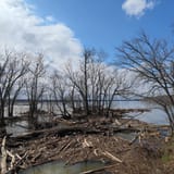 Blockhouse Point Loop Trail, Maryland - 1,066 Reviews, Map | AllTrails