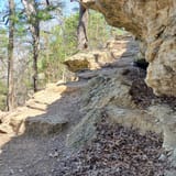 Cross Timbers Hiking Trail, Texas - 1,463 Reviews, Map | AllTrails