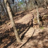 Cross Timbers Hiking Trail, Texas - 1,463 Reviews, Map | AllTrails