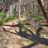 Cross Timbers Hiking Trail, Texas - 1,463 Reviews, Map | AllTrails