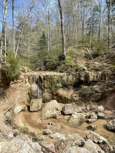 Best Hikes and Trails in Clark Creek Natural Area | AllTrails