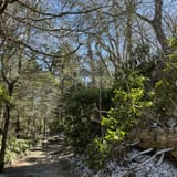 Tanawha Trail via Beacon Heights, North Carolina - 261 Reviews, Map ...