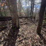 Red Byrd Arch, Kentucky - 265 Reviews, Map | AllTrails