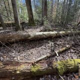 Red Byrd Arch, Kentucky - 265 Reviews, Map | AllTrails