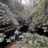 Red Byrd Arch, Kentucky - 265 Reviews, Map | AllTrails