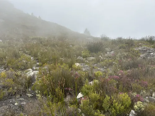 Best Hikes and Trails in Greyton Nature Reserve | AllTrails