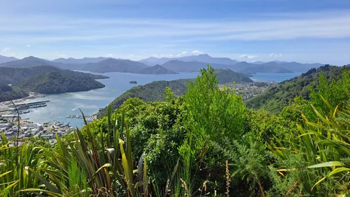 Best City Walk Trails in Picton | AllTrails