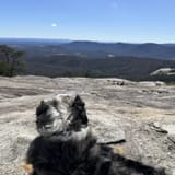 Stone Mountain Loop Trail, North Carolina - 3,163 Reviews, Map | AllTrails