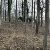 Alberton Road Trail, Maryland - 1,332 Reviews, Map | AllTrails