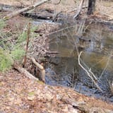 Mass Central Rail Trail to Rutland State Park, Massachusetts - 386 ...