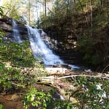 Greeter Falls Loop, Tennessee - 1,110 Reviews, Map | AllTrails