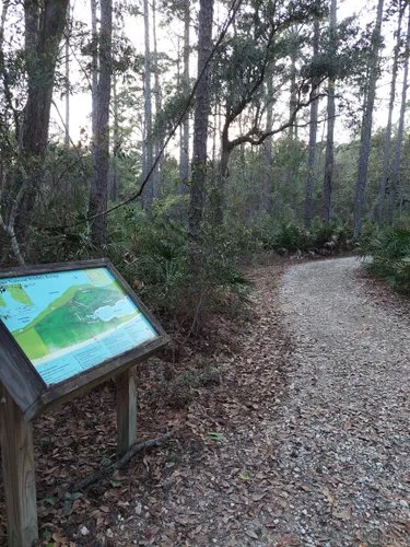 Best Wheelchair Friendly Trails in Bon Secour National Wildlife Refuge ...