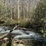 Hemlock Falls and Moccasin Creek Wildlife Trail, Georgia - 442 Reviews ...