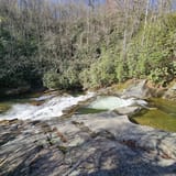 Lost Cove Loop Trail (262), North Carolina - 145 Reviews, Map | AllTrails