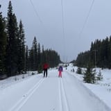 Braille Trail, Alberta, Canada - 12 Reviews, Map | AllTrails