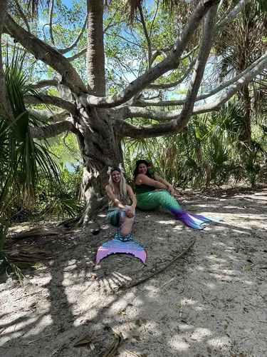 Best Hikes and Trails in Wall Springs Park | AllTrails