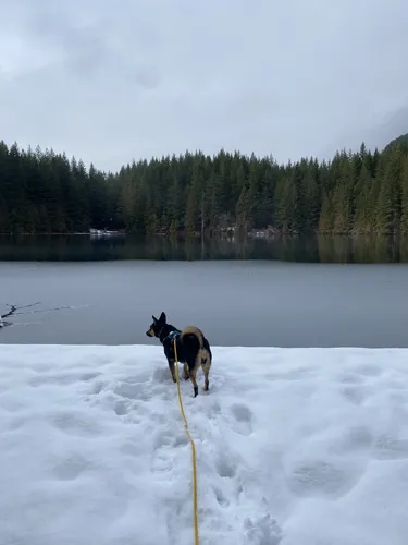 Best Hikes and Trails in Cat Lake Recreation Site | AllTrails