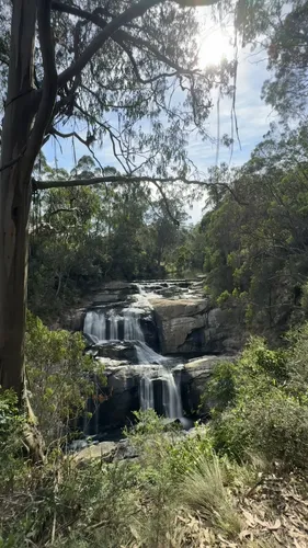 Best Hikes and Trails in Agnes Falls Scenic Reserve | AllTrails