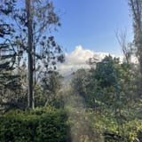 Mount Sutro Loop, California - 2,475 Reviews, Map | AllTrails