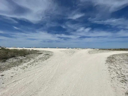 Best Hikes and Trails in Sand Key Park | AllTrails