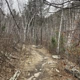 Coon Hollow Loop, South Dakota - 1,116 Reviews, Map | AllTrails