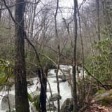 Mouse Creek Falls via Big Creek Trail, Tennessee - 2,629 Reviews, Map ...