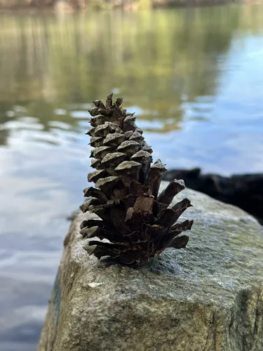 Best Hikes and Trails in Little Ridge Park | AllTrails