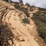 Bear Mountain Trail, Arizona - 5,514 Reviews, Map | AllTrails