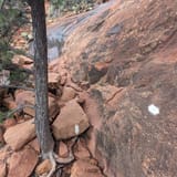 Bear Mountain Trail, Arizona - 5,514 Reviews, Map | AllTrails