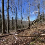 Shavertown Trail, New York - 306 Reviews, Map | AllTrails
