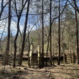 Walls of Jericho Trail, Alabama - 2,301 Reviews, Map | AllTrails
