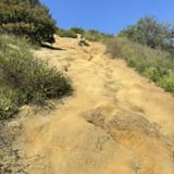 Runyon Canyon Trail, California - 7,904 Reviews, Map | AllTrails