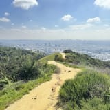 Runyon Canyon Trail, California - 7,904 Reviews, Map | AllTrails