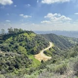 Runyon Canyon Trail, California - 7,904 Reviews, Map | AllTrails