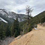 Seven Bridges Trail, Colorado - 7,081 Reviews, Map | AllTrails