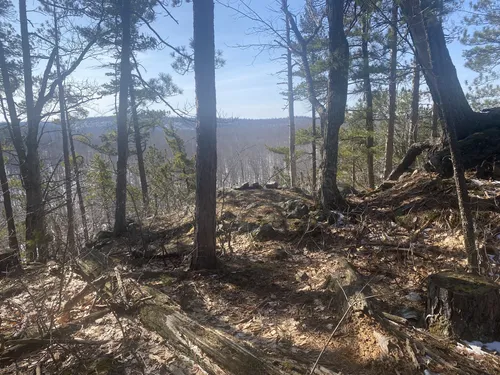 10 Best Hikes and Trails in Escanaba River State Forest | AllTrails