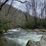 Mouse Creek Falls via Big Creek Trail, Tennessee - 2,646 Reviews, Map ...