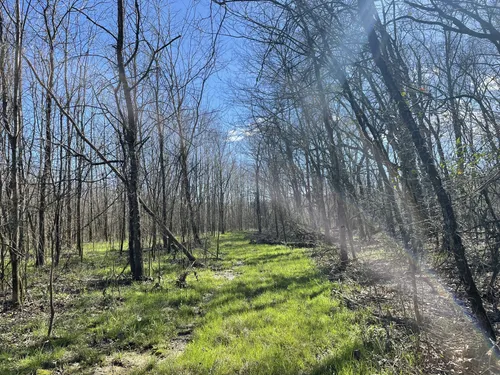 Best Hikes and Trails in Roy B. Whitaker Preserve | AllTrails