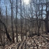 Crahen Valley Park Loop, Michigan - 1,318 Reviews, Map | AllTrails