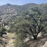 Bisbee 1000 (The Great Stair Climb), Arizona - 709 Reviews, Map | AllTrails