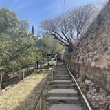 Bisbee 1000 (The Great Stair Climb), Arizona - 709 Reviews, Map | AllTrails