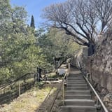 Bisbee 1000 (The Great Stair Climb), Arizona - 709 Reviews, Map | AllTrails