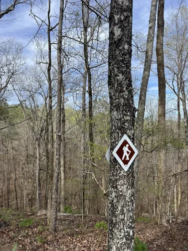 Best Walking Trails in Standing Boy Trails | AllTrails