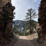 Fowler Trail, Colorado - 1,943 Reviews, Map | AllTrails
