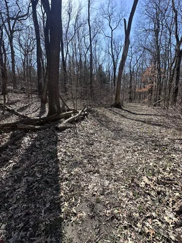 Best Trail Running Trails in Lowden-Miller State Forest | AllTrails