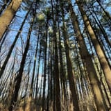 Adam Run Trail, Ohio - 2,286 Reviews, Map | AllTrails