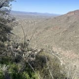 Pontatoc Ridge Trail, Arizona - 1,901 Reviews, Map | AllTrails