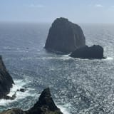 Cape Brett Track, Northland, New Zealand - 227 Reviews, Map | AllTrails