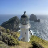 Cape Brett Track, Northland, New Zealand - 227 Reviews, Map | AllTrails