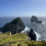 Cape Brett Track, Northland, New Zealand - 227 Reviews, Map | AllTrails